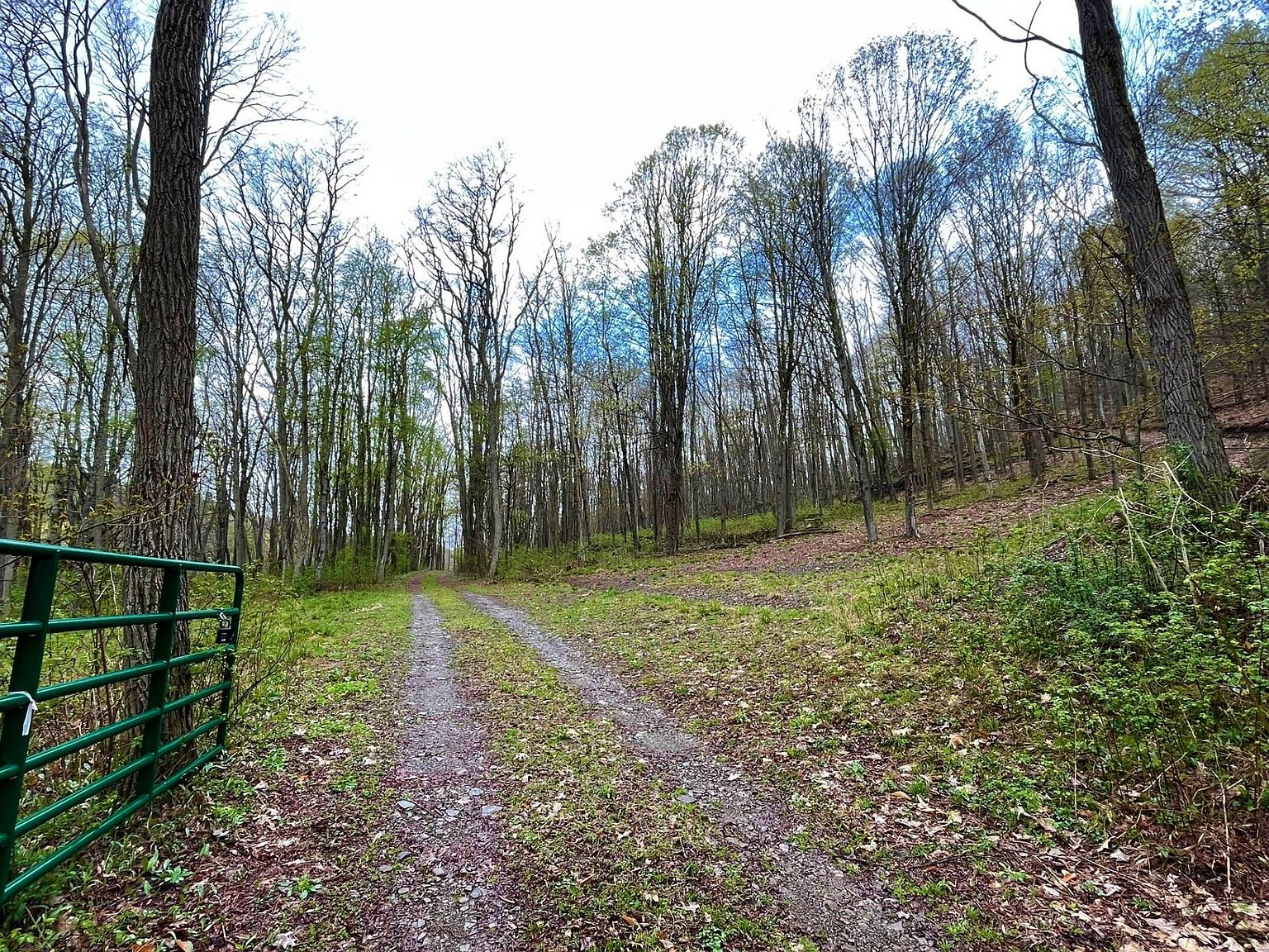 8148 County Road 1, Friendship, NY 14739 | MLS #11172121 | Zillow