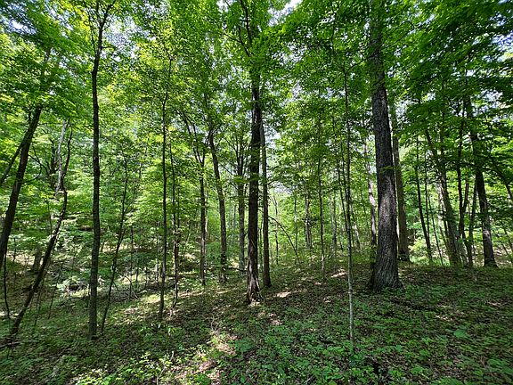 Hickory Ridge Rd LOT WP001, Waddy, KY 40076 | Zillow