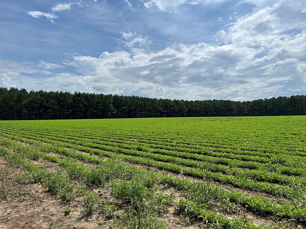 2861 Shillings Bridge Rd, Orangeburg, SC 29115 | MLS #45310 | Zillow