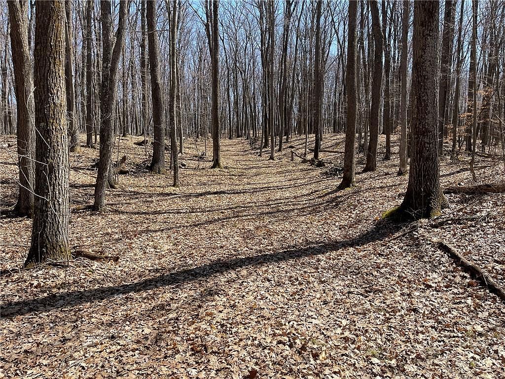0 Sand Pit Road, Trego, WI 54888 | MLS #1590942 | Zillow