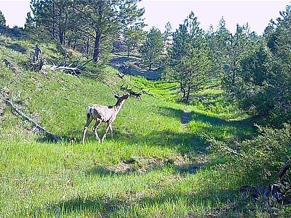 600 N Delphia Rd, Roundup, MT 59072 | MLS #353208 | Zillow