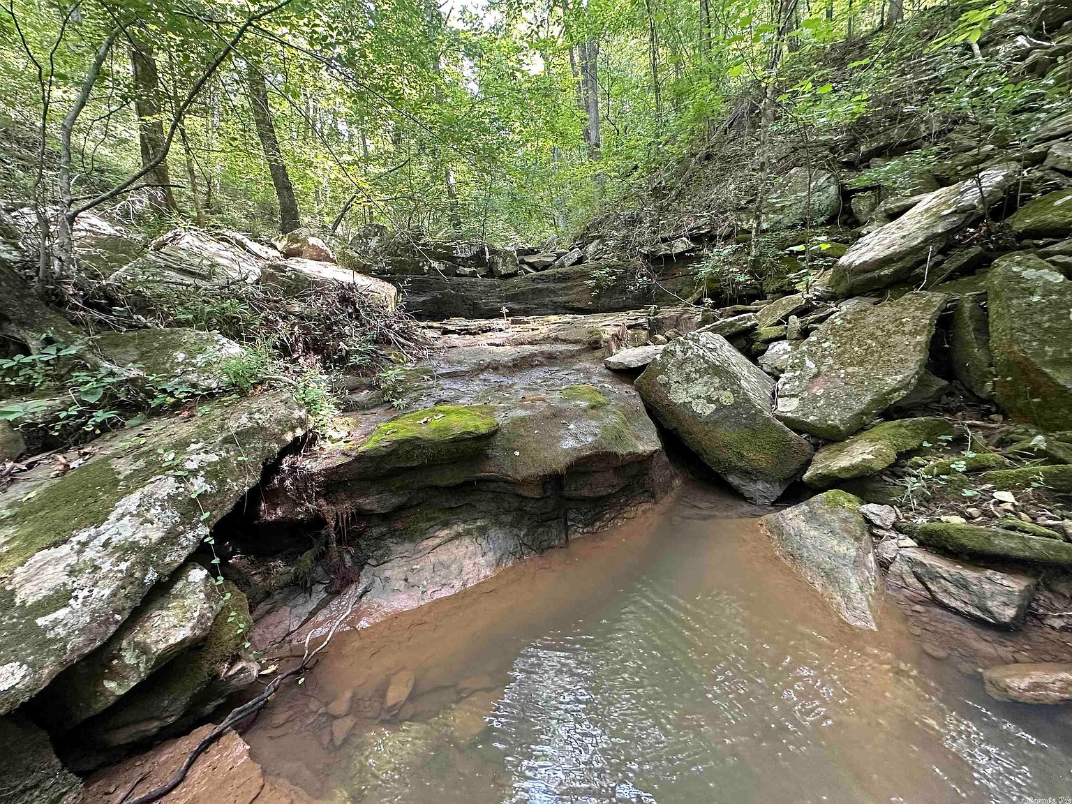 2587 Dodd Mountain Rd, Shirley, AR 72153 | Zillow