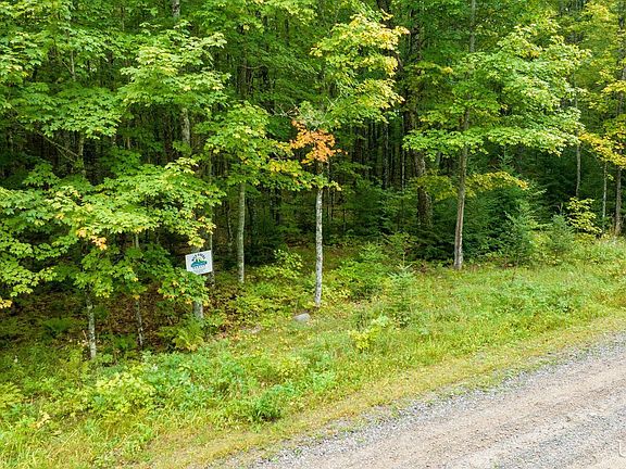 Homan Lake Rd, Iron River, MI 49935 | MLS #50136974 | Zillow