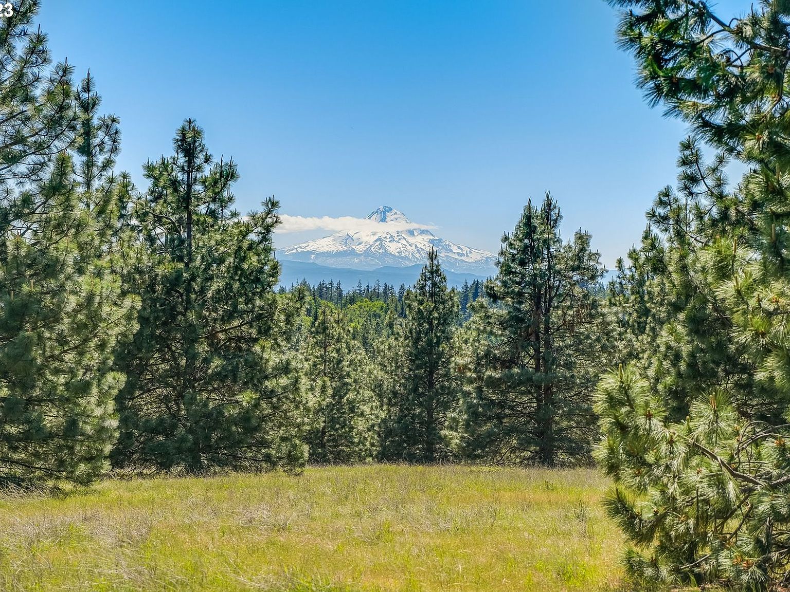 Mount View Rd, Lyle, WA 98635 | MLS #23168998 | Zillow