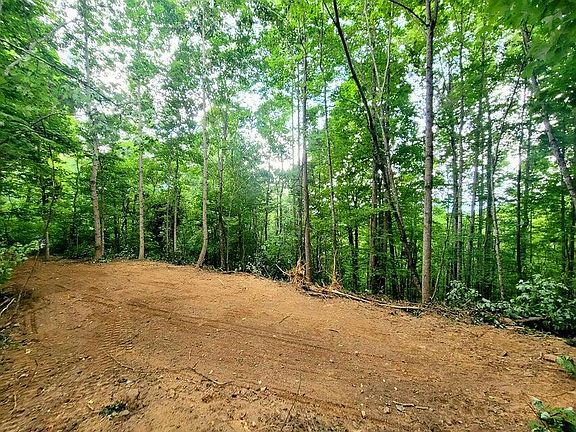 Lots 8a 8b Dunlukin Dr, Spring City, TN 37381 | MLS #20244510 | Zillow