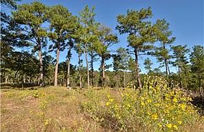 587 Red Rock Ranch Rd, Red Rock, TX 78662 | Zillow