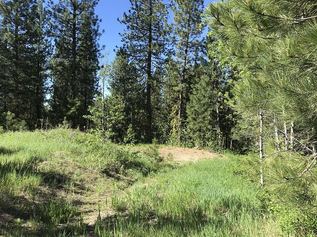 45 Joshua Dr, Cascade, ID 83611 | Zillow