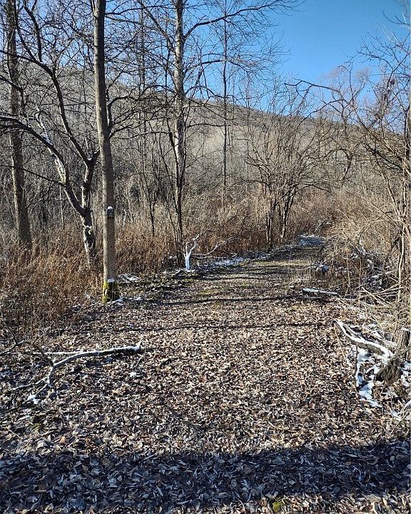 141516 Tully Farms Rd #14, Tully, NY 13159 | Zillow