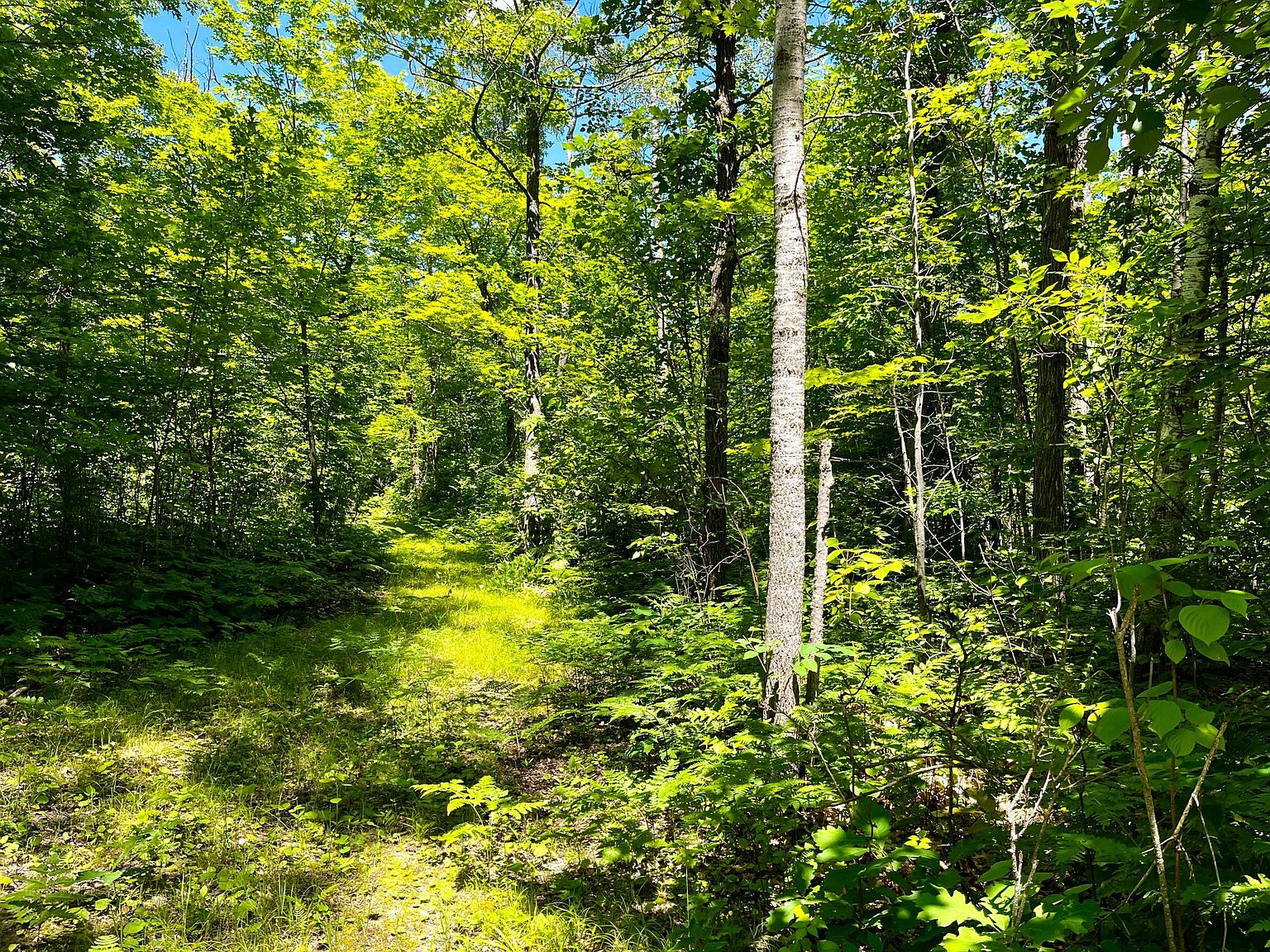Xxx Trillium Dr Hackensack Mn 56452 Mls 6398295 Zillow