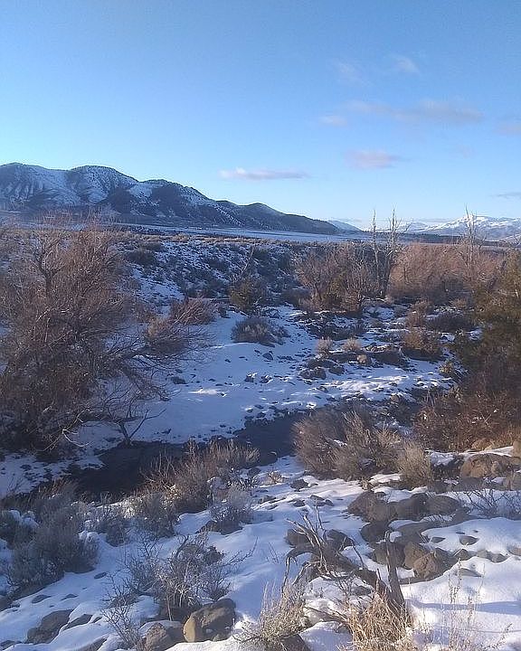 3385 Basque Oven Rd, Reno, NV 89510 | Zillow