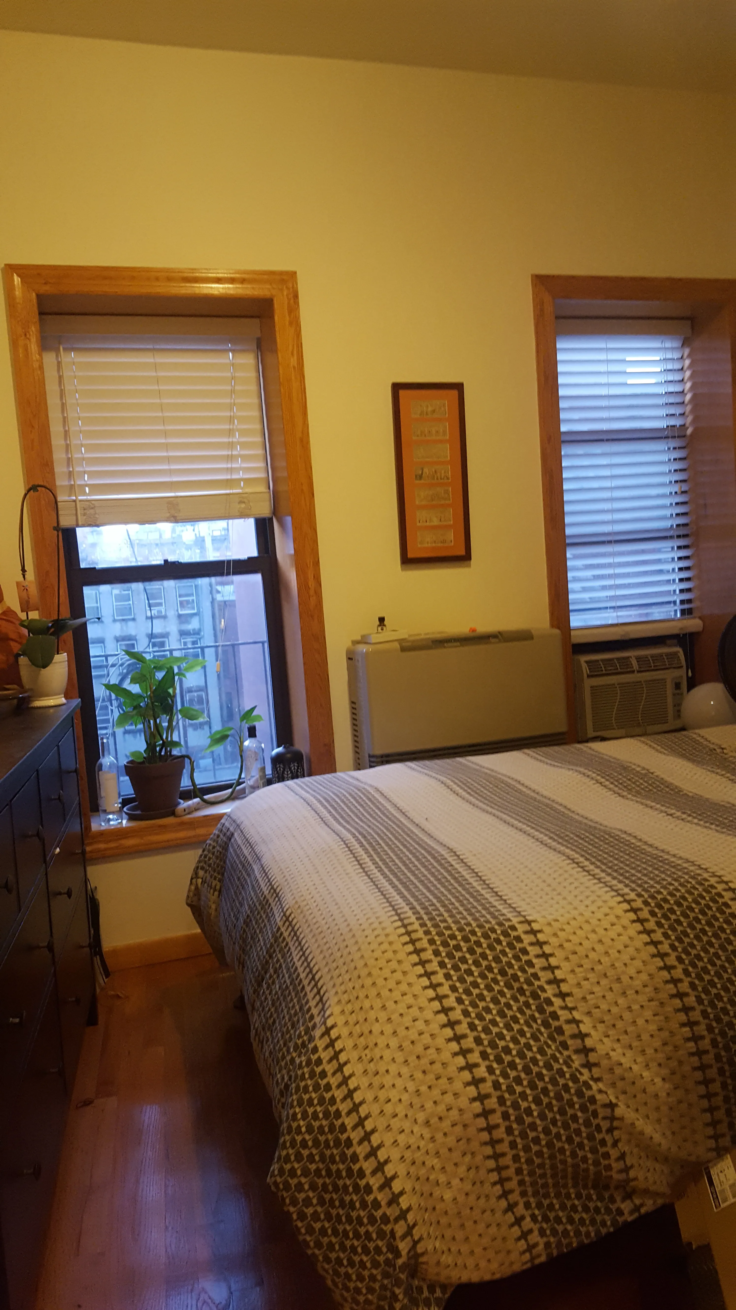 154 Mott Street #5G in Little Italy, Manhattan | StreetEasy