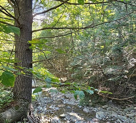 0 Mile Lane Rd, Sayre, PA 18840 | MLS #276788 | Zillow