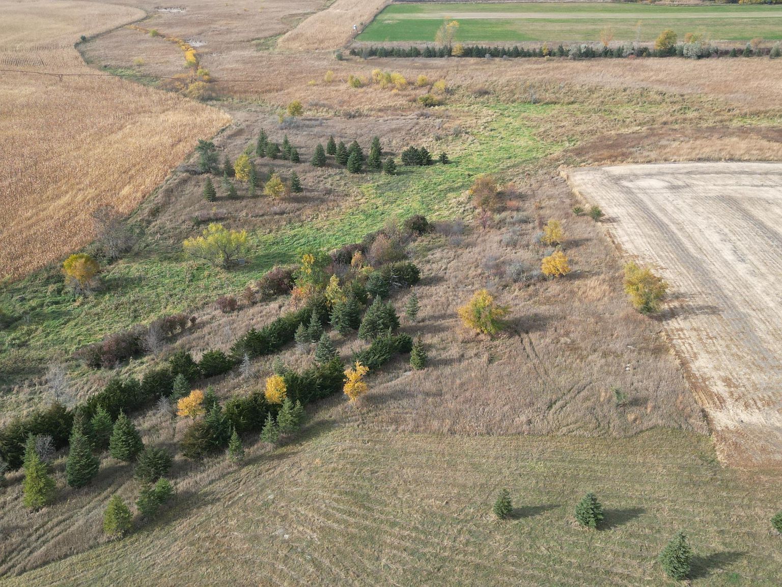 360 Avenue, Hancock, MN 56244 | Zillow