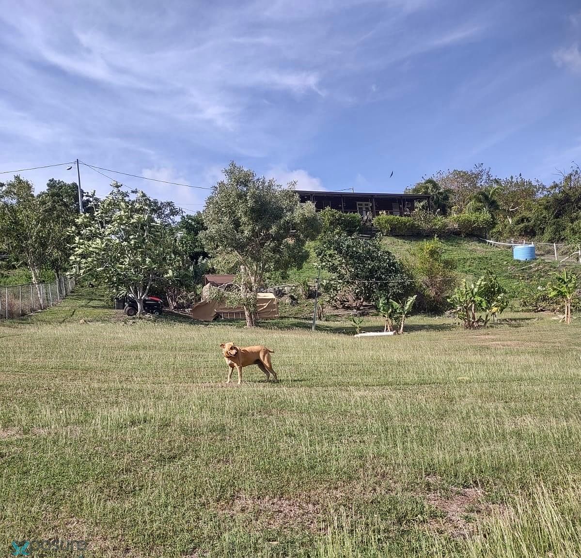 Km 1.4 Callejon Angel L Carlo Carr 300, Cabo Rojo, PR 00623 | MLS ...