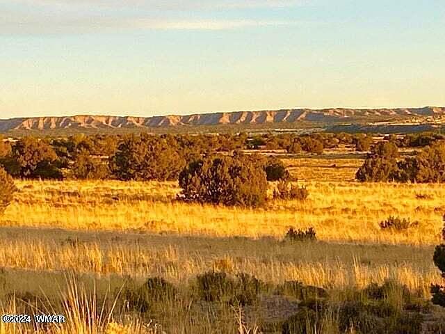 Sanders LOT A, Sanders, AZ 86512 | Zillow