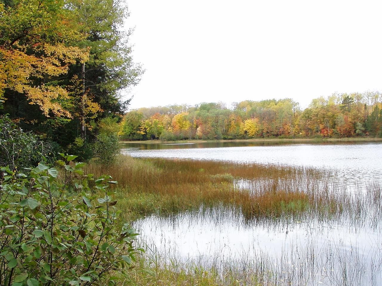 LOT 4 Black Bear Ln, Phelps, WI 54554 | Zillow