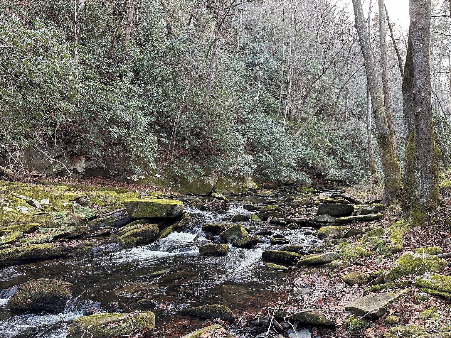 1363 Armstrong Creek Rd, Marion, NC 28752 | Zillow