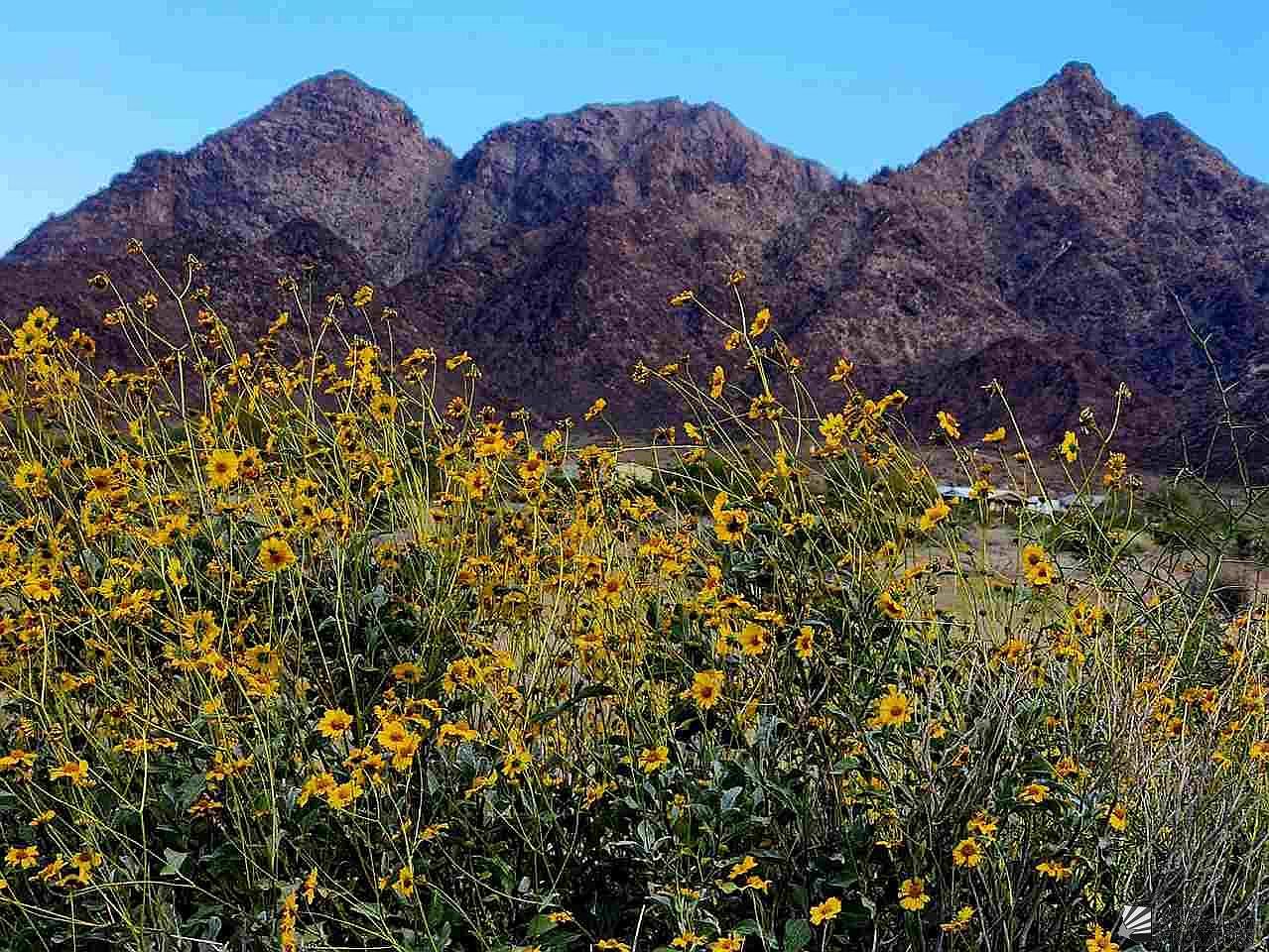 36 E, Wellton, AZ 85356 | MLS #20250829 | Zillow