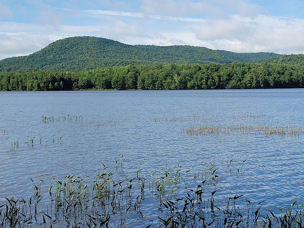 134 Raquette Flow Dr, Piercefield, NY 12973 | Zillow