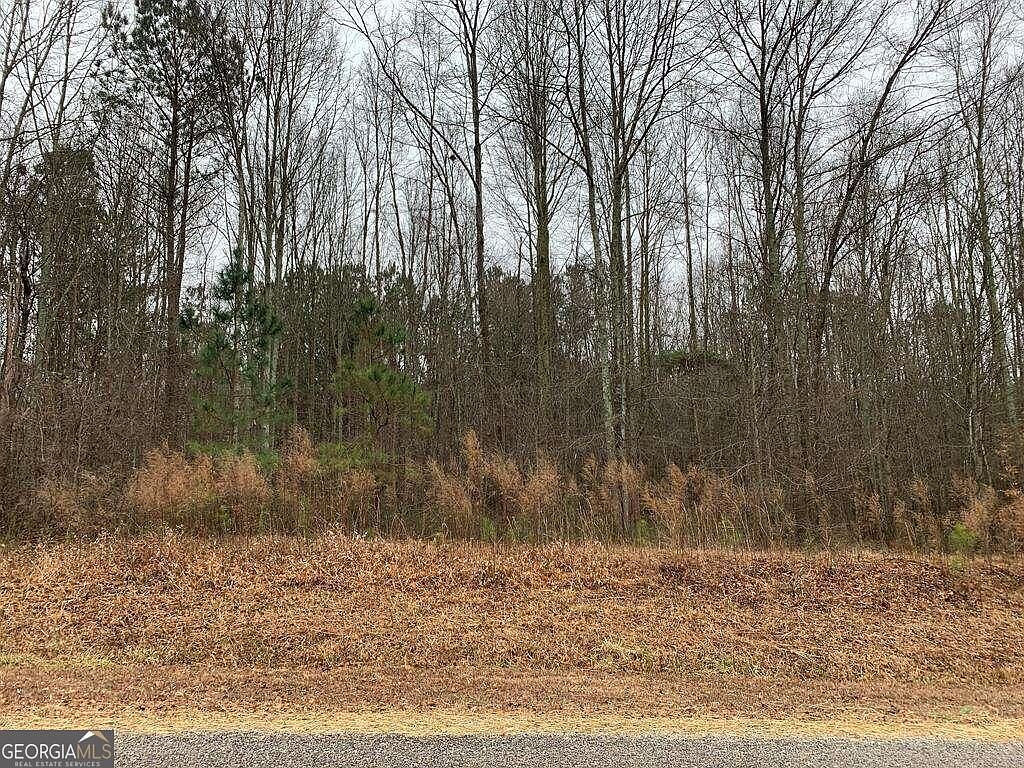 0 County Road 502, Graham, AL 36263 | Zillow
