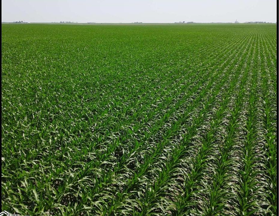 130th Street At Yarrow Ave, Dougherty, IA 50433 | Zillow