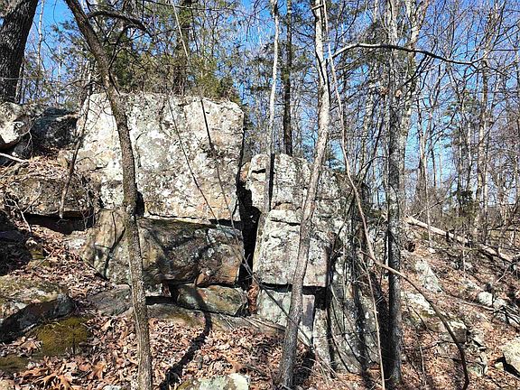 1289 Dodd Mountain Rd, Shirley, AR 72153 | Zillow