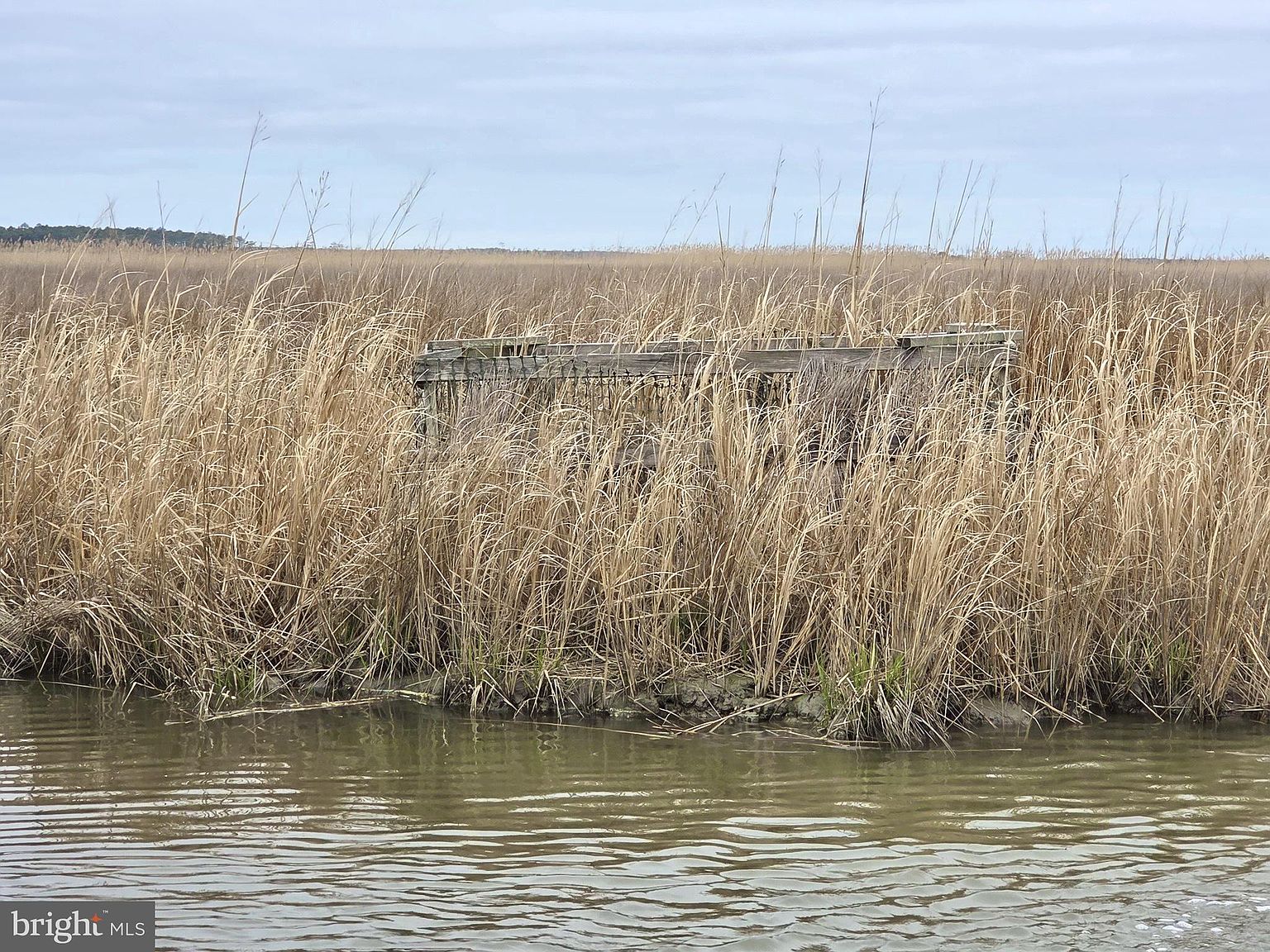 Waterfowl & Sika Ducks Wesley S S Road Deep Br, Crapo, MD 21626 | MLS # ...