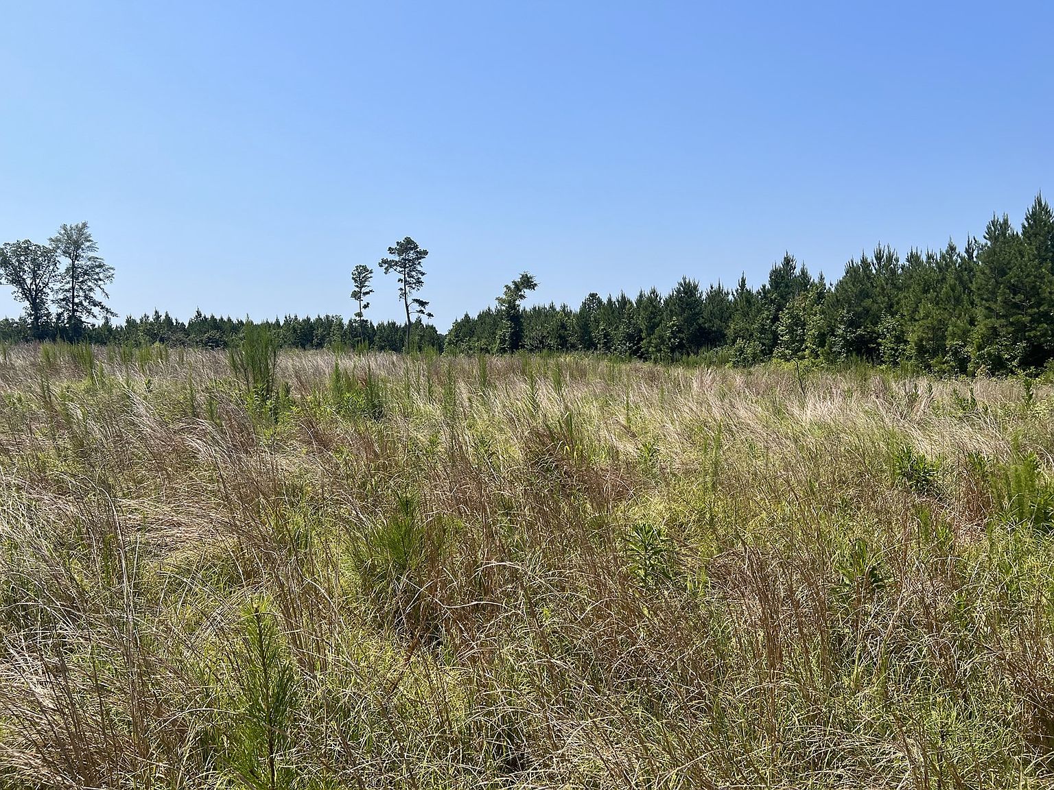 70 Yds South Of County Rd #139, Stephens, AR 71764 | Zillow