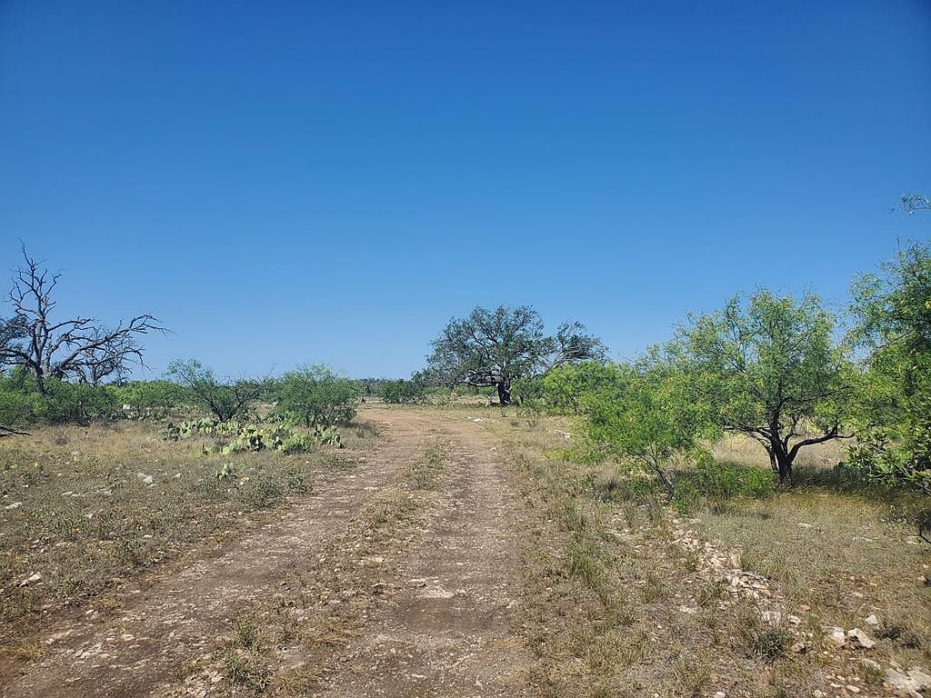 1307 Big Buck Run, Fort Mc Kavett, TX 76841 | Zillow