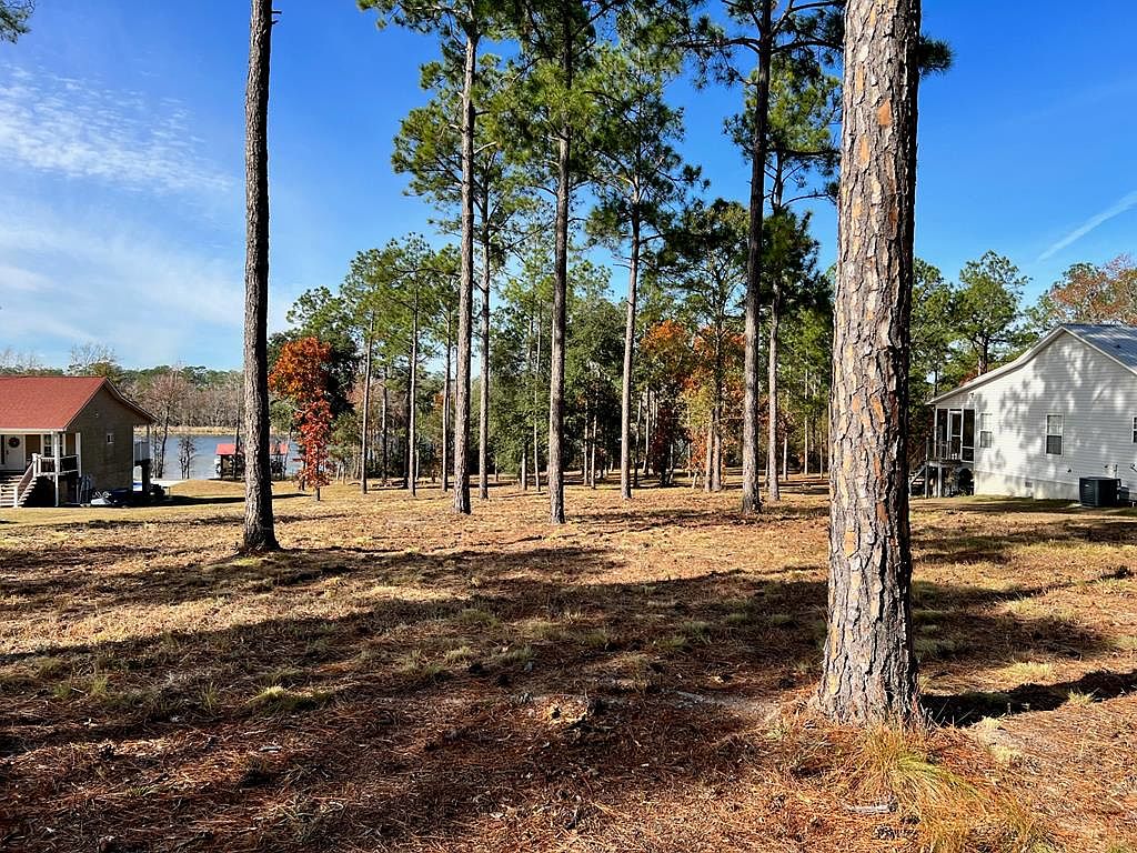 8188 Harvel Pond Rd, Donalsonville, GA 39845 | MLS #11987 | Zillow