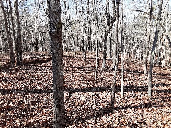 0 High Point Rd, Buchanan, GA 30113 | Zillow