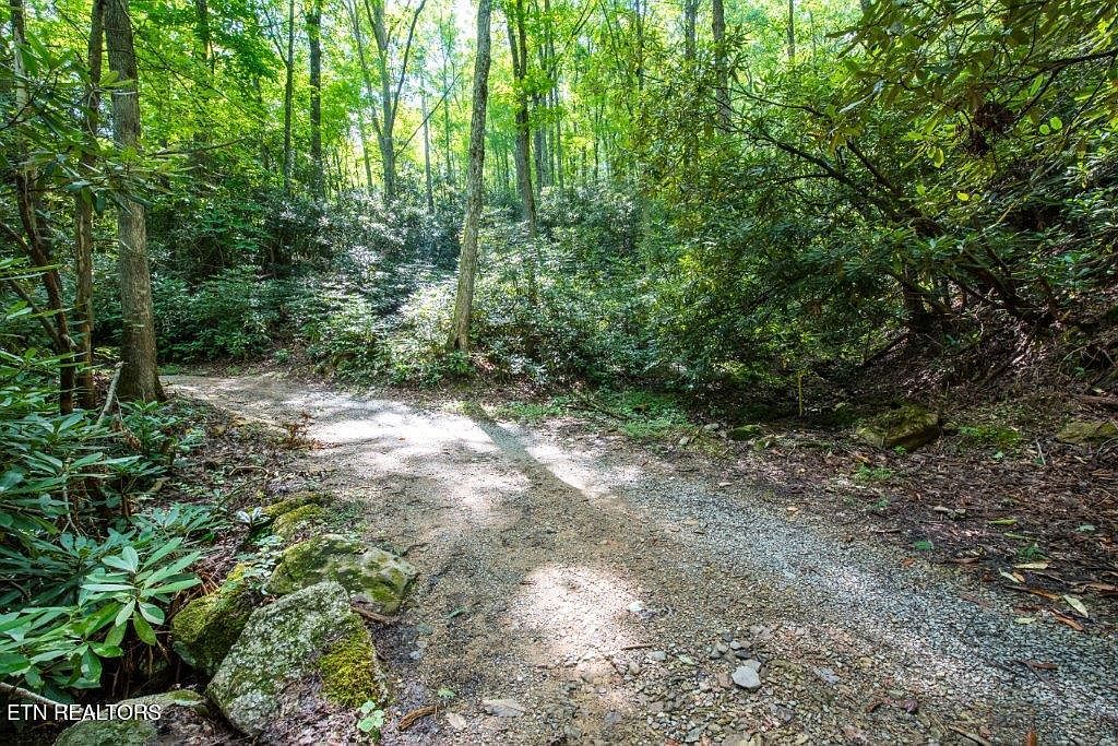 Carrs Creek Rd, Townsend, TN 37882 | Zillow
