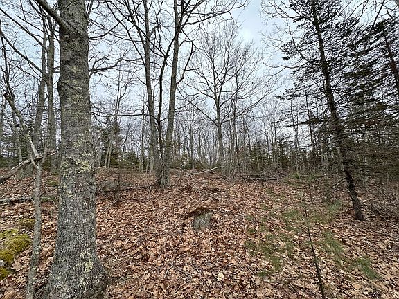 131 Eastbrook Road, Franklin, ME 04634 | MLS #1583126 | Zillow