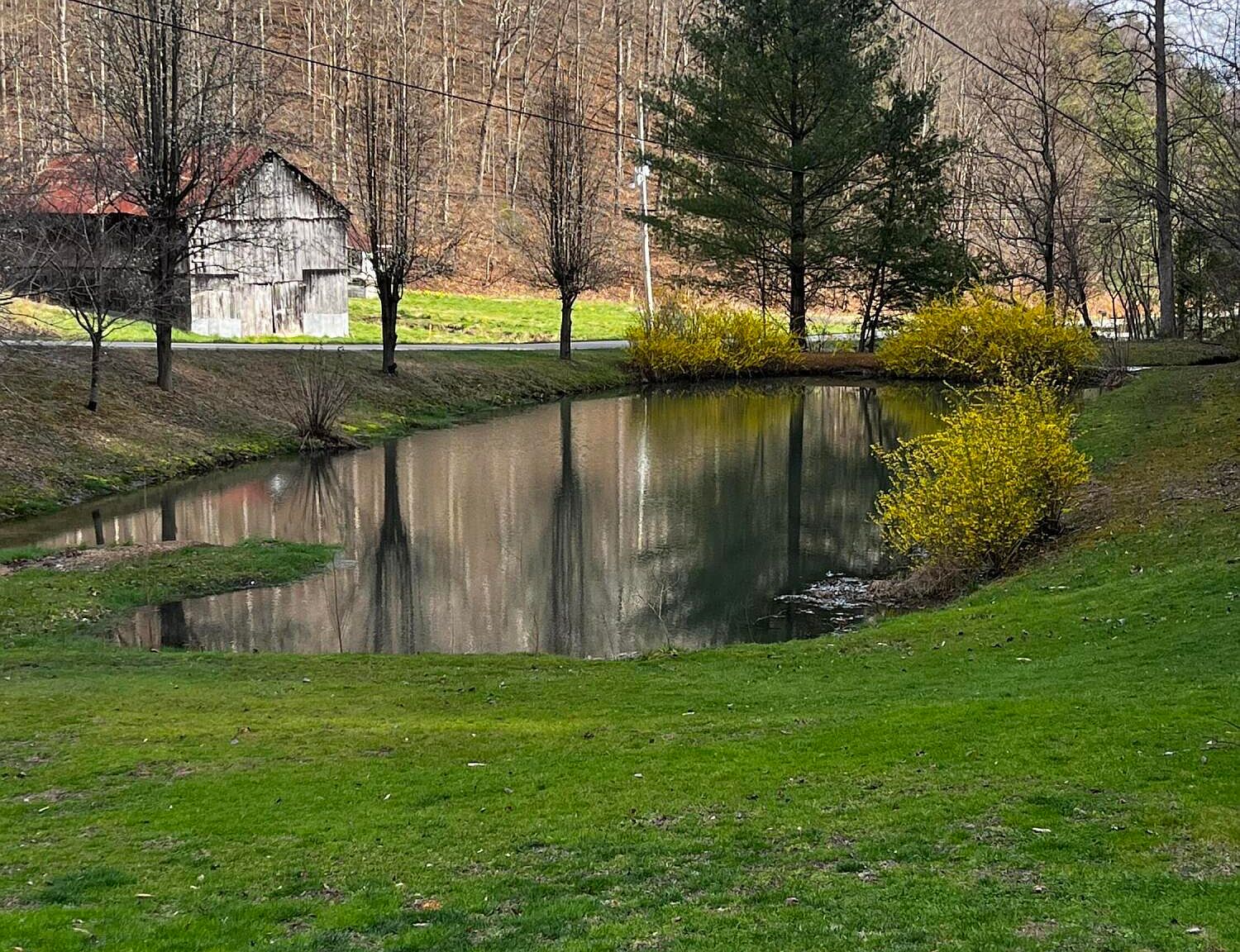 16123 N Highway 11, Oneida, KY 40972 | Zillow