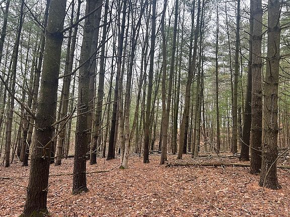 Stoney Point Rd LOT WP001, New Concord, OH 43762 | MLS #50895 | Zillow