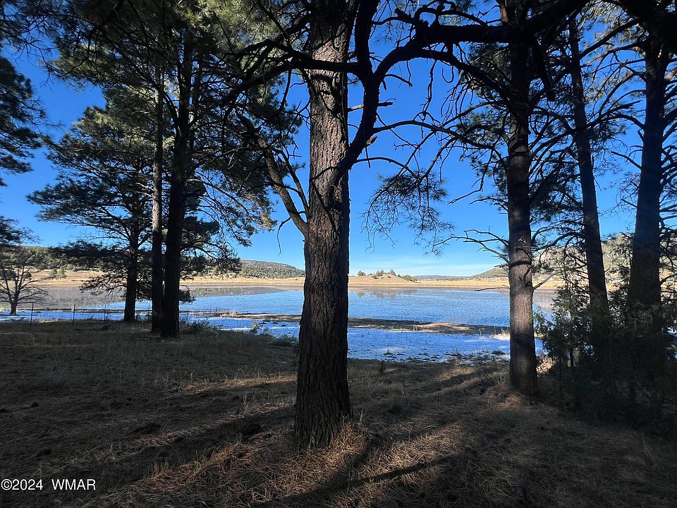 314 County Road 2108, Nutrioso, AZ 85932 | MLS #253656 | Zillow
