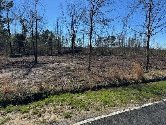 Chewning Rd, Pinewood, SC 29125 | MLS #24004189 | Zillow