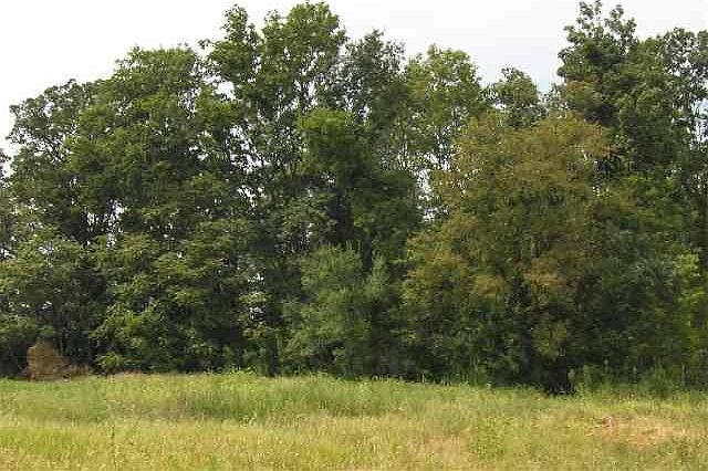 Lots 18 19 20 John Purdom Dr, Almo, KY 42020 | MLS #47132 | Zillow