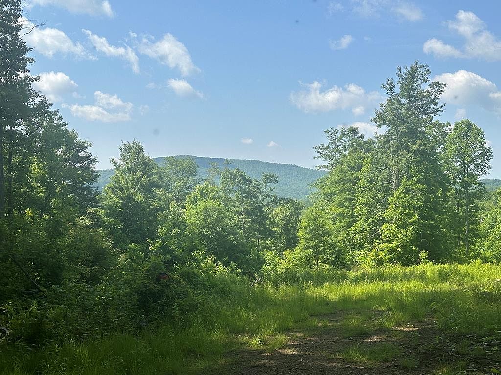 868 Frazee Ridge Rd, Danese, WV 25831 | MLS #91057 | Zillow