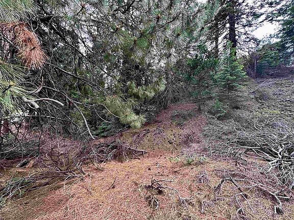 1.4 Acres Summit Dr, Mount Shasta, CA 96067 | MLS #20230609 | Zillow