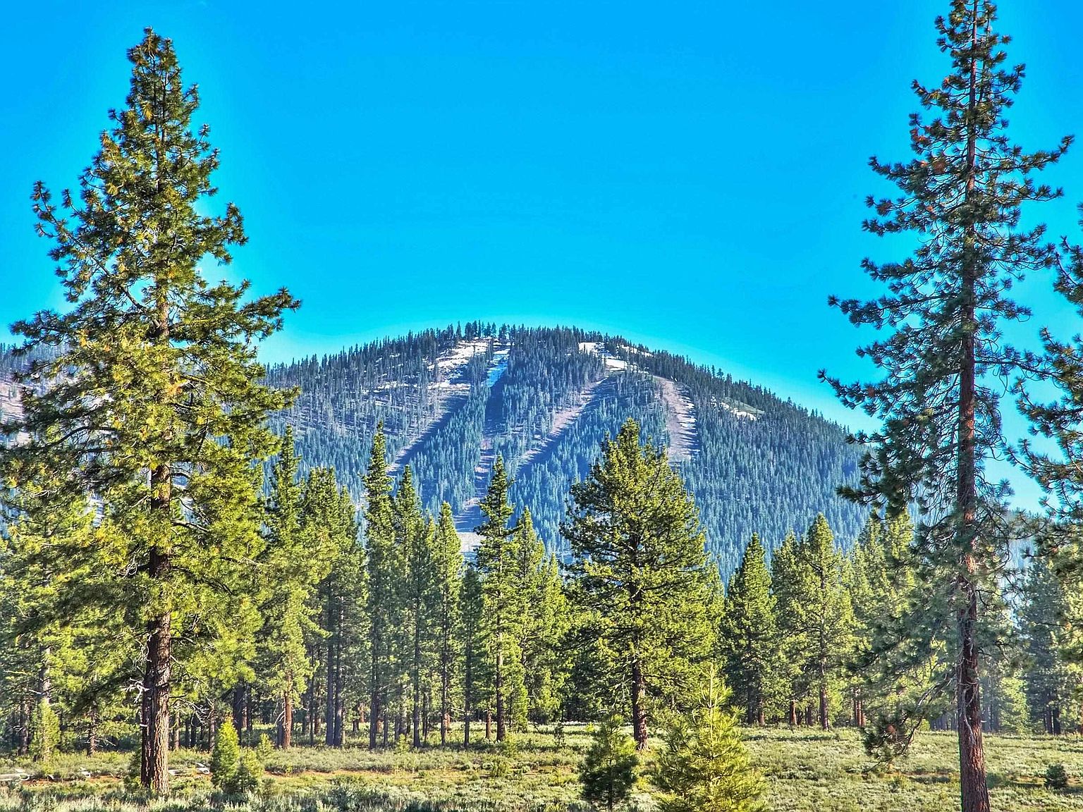 9701 State Highway 267, Truckee, CA 96161 | MLS #20241534 | Zillow
