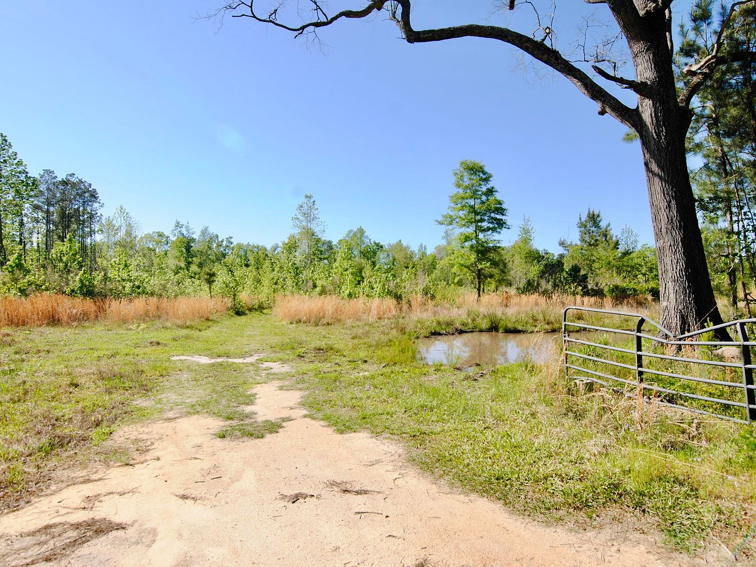 0 Mendel Rivers Rd, Saint Stephen, SC 29479 | Zillow