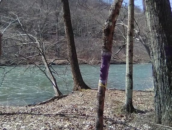 95 Byler Rd #E, Valier, PA 15780 | MLS #11317244 | Zillow