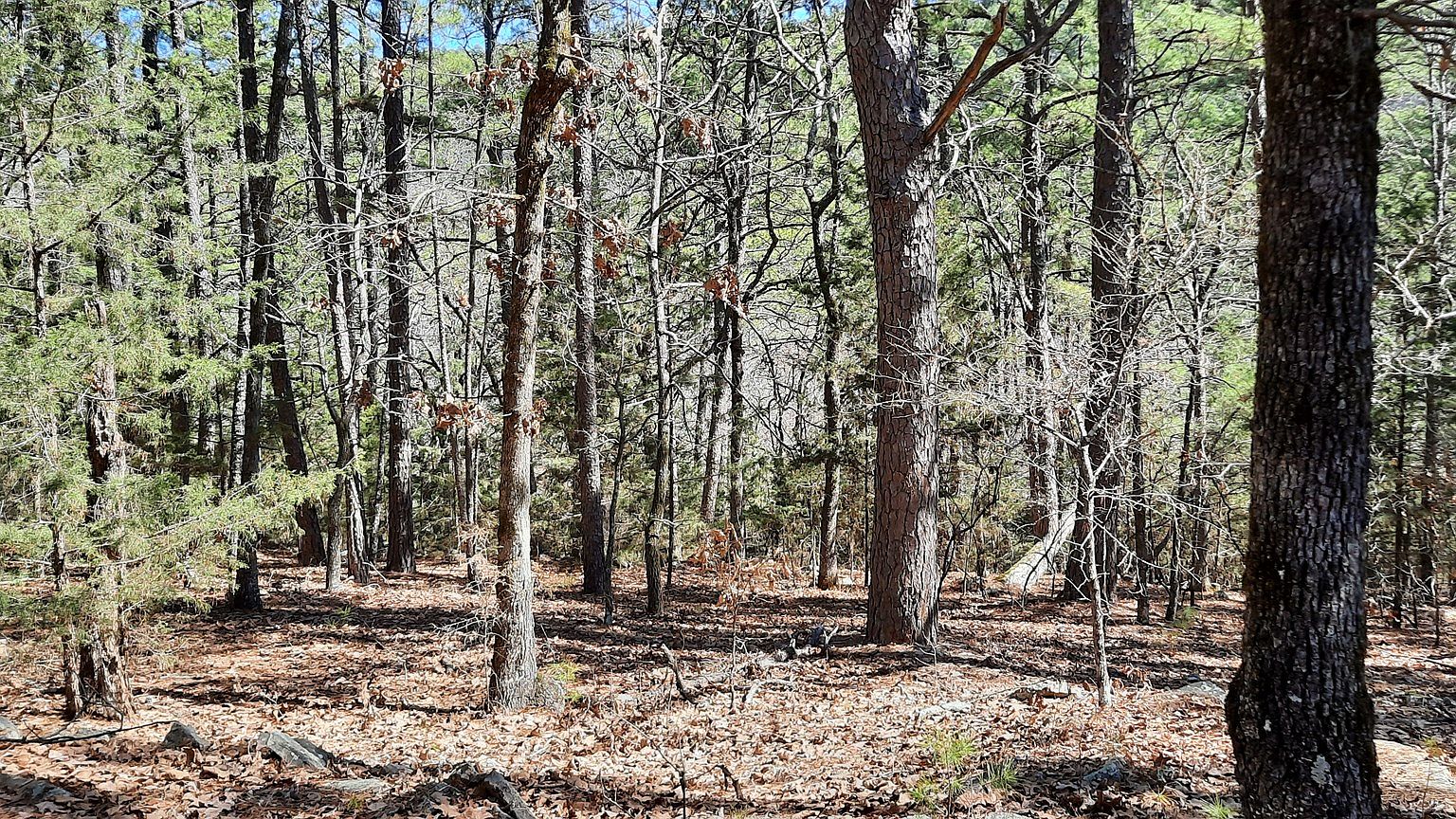 Kiamichi Wilderness, Daisy, OK 74540 | Zillow