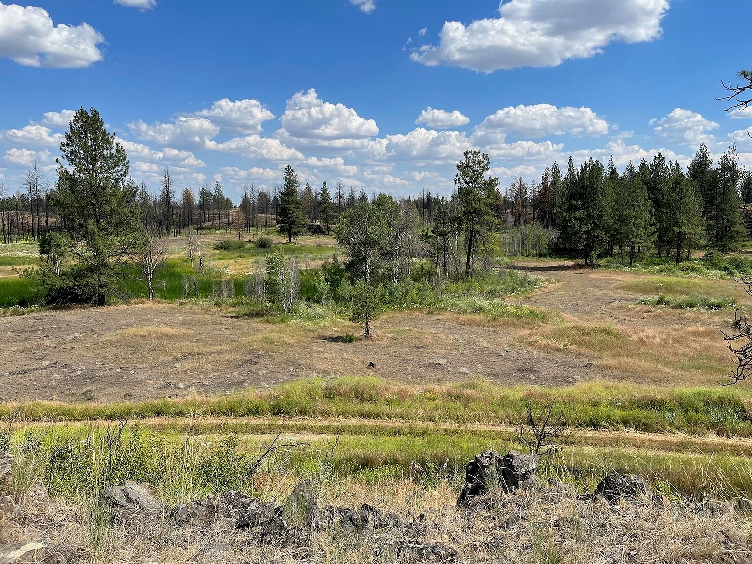 Nenw Sec4 T25n #R36ewm, Davenport, WA 99122 | Zillow