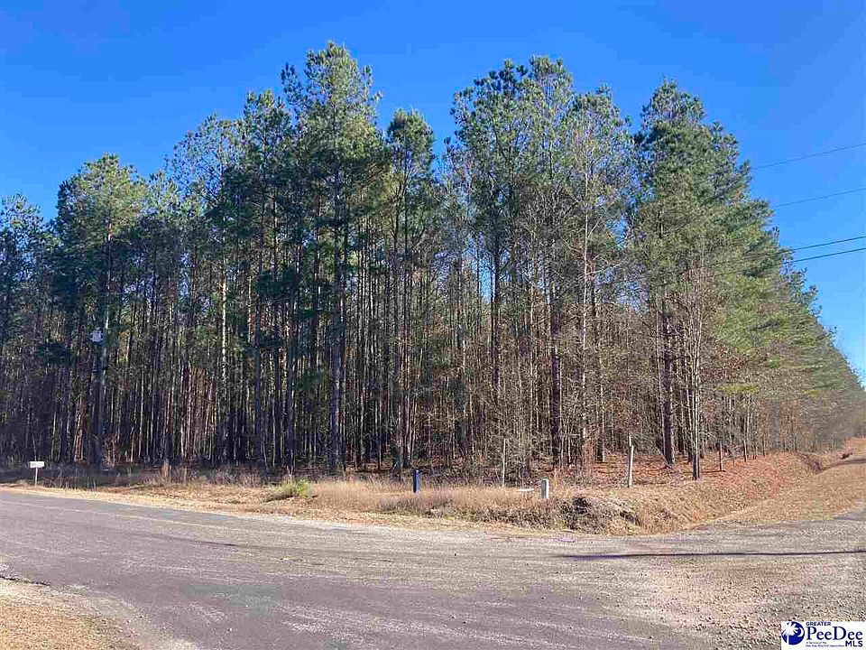 Berry Road & Fore Rd, Blenheim, SC 29516 | MLS #20240383 | Zillow