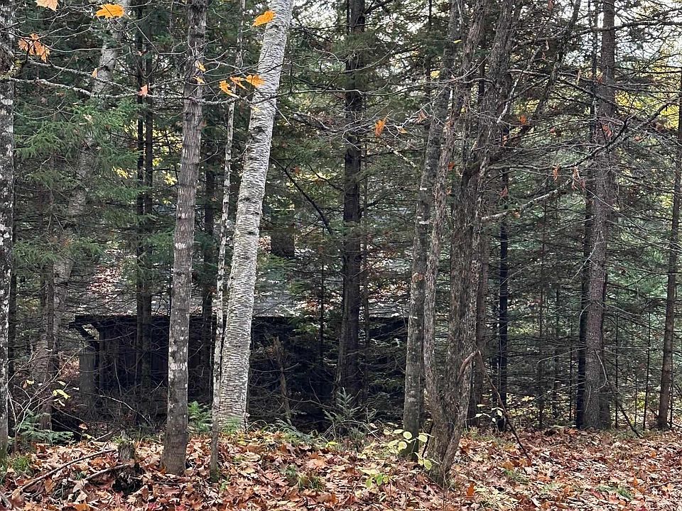 Tamarack Lake Rd, Iron River, MI 49935 | Zillow