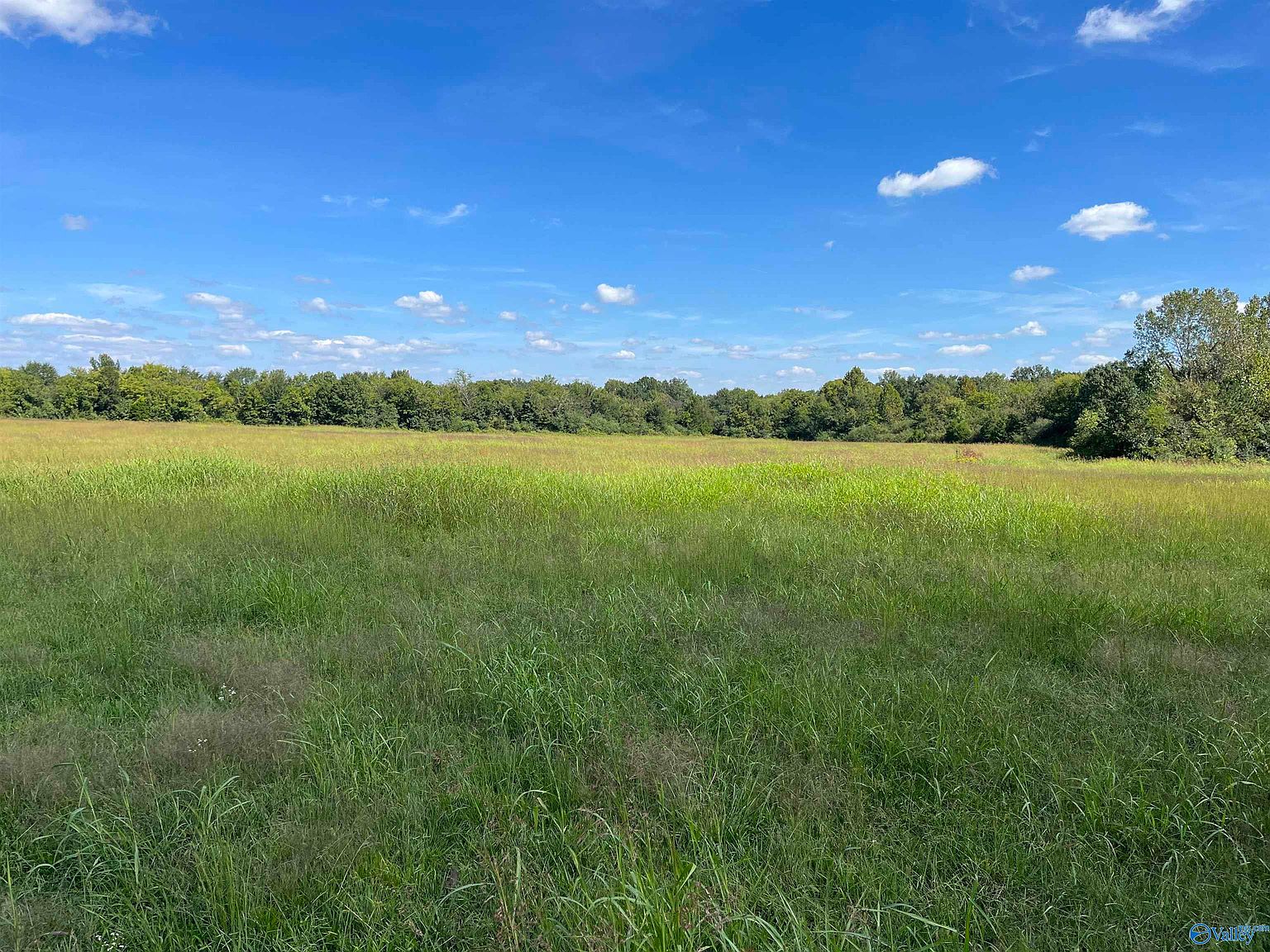 County Road 205, Danville, AL 35619 | MLS #21846552 | Zillow