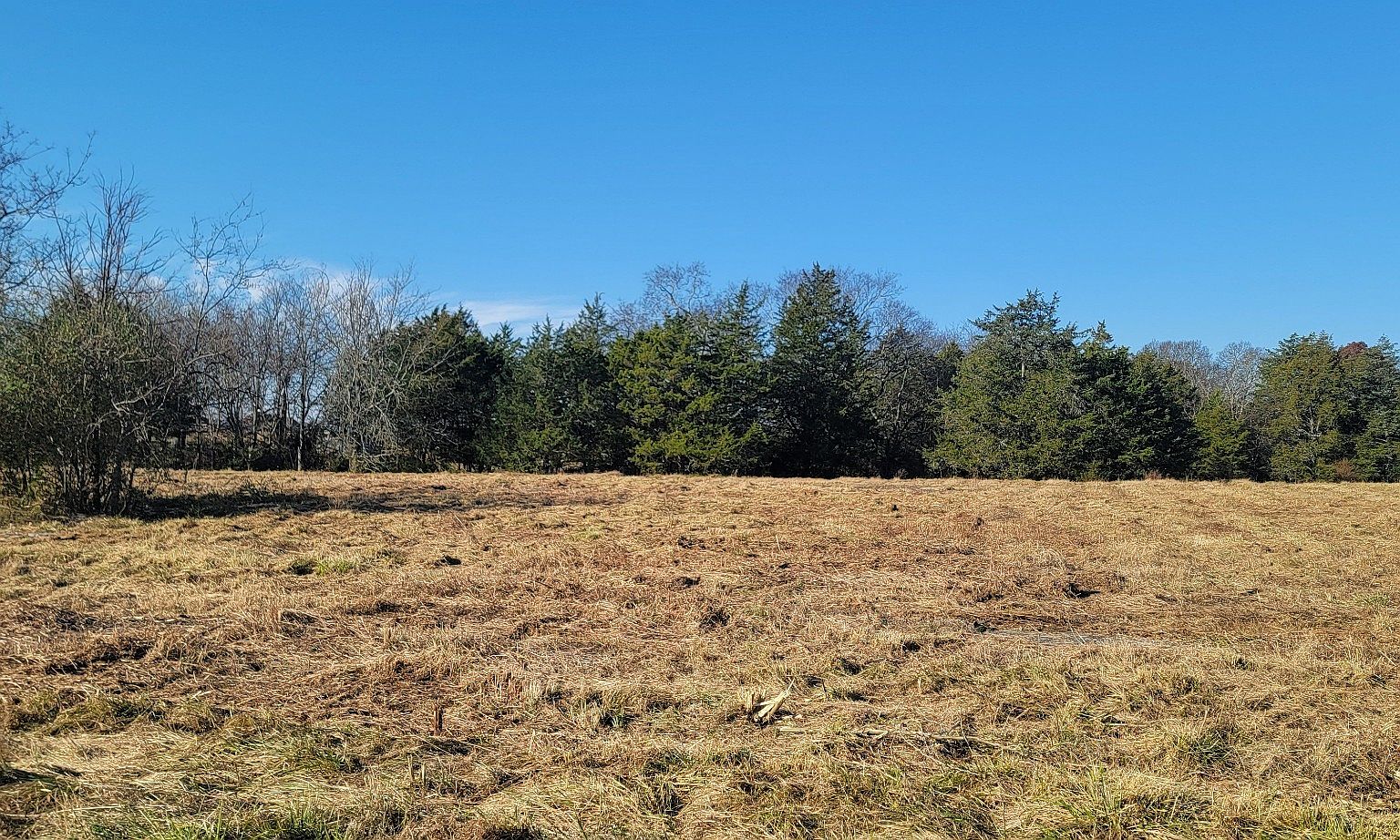 1 Green Acres Rd LOT 1, Unionville, TN 37180 | MLS #2638254 | Zillow
