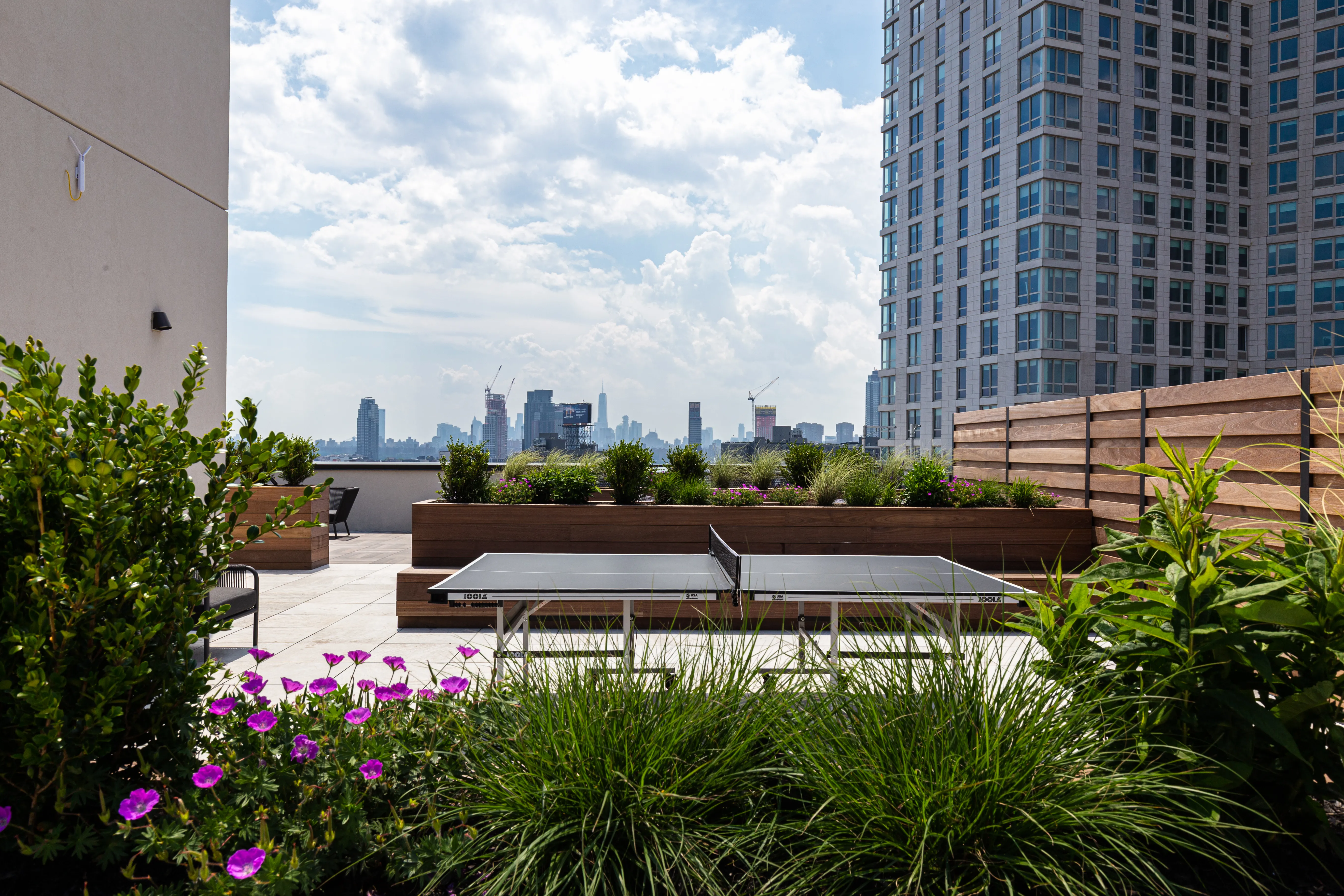 45-57 Davis Street in Hunters Point : Sales, Rentals, Floorplans ...